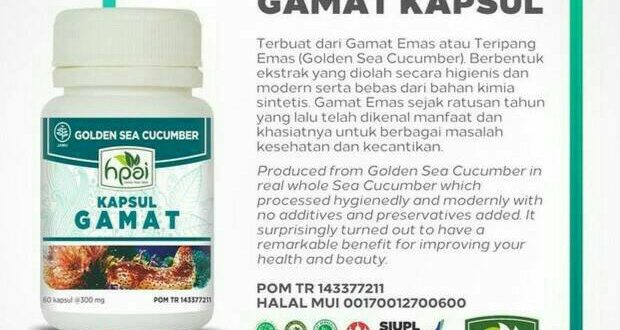 Gamat Kapsul HPAI – Halal Mart